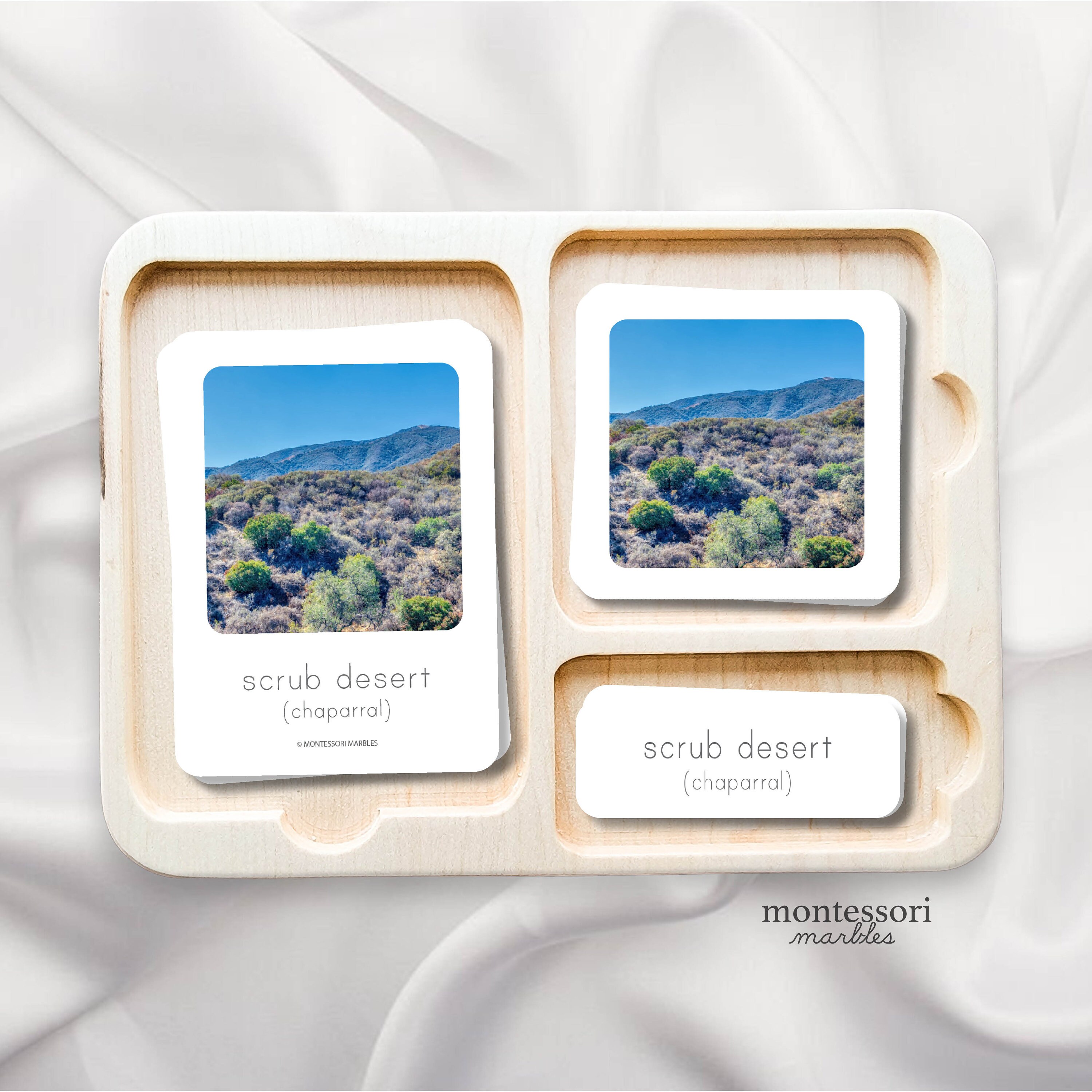 BIOMES Nomenclature Cards Montessori Inspired Cards Social Studies ...