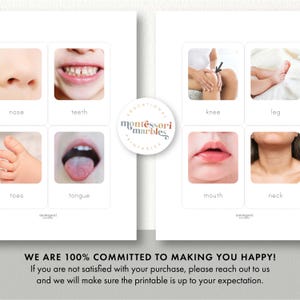 Human Body Parts Flash Cards | Montessori Homeschool Anatomy Printable ...