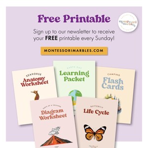 DIWALI Cutting Strips | Montessori Inspired Printable | Fine Motor ...