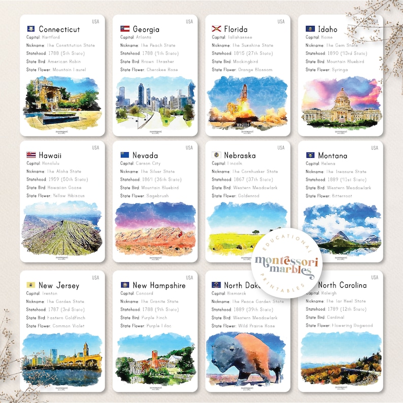 USA State Fact Cards | Montessori Geography | States Learning ...