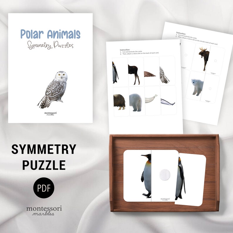 POLAR ANIMALS Mini Bundle 4 Sensory and Fine Motor Activities for ...