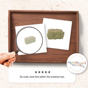 FALL Magnifying Matching Game | Montessori at Home Using Magnifying ...