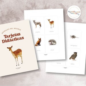 ANIMALES DEL BOSQUE Tarjetas Didácticas | Woodland Animals | Spanish ...