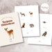 Animales Del Bosque Tarjetas | Spanish Forest Animals | Montessori ...
