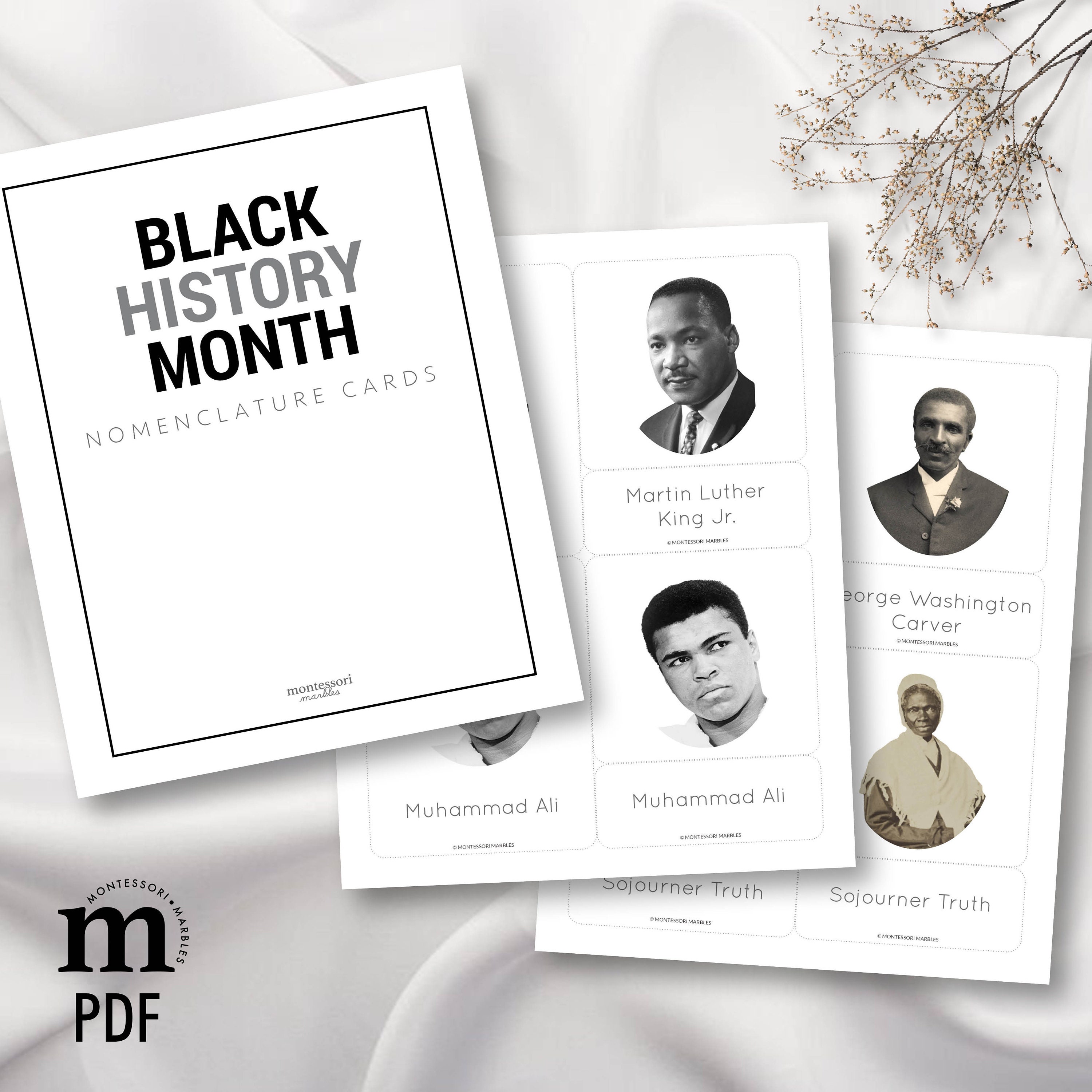 BLACK HISTORY MONTH Montessori Nomenclature Cards Famous - Etsy