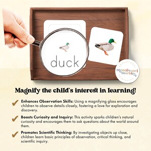 FARM ANIMALS Magnifying Matching Game | Montessori at Home | Using ...