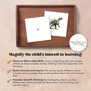 DINOSAURS Magnifying Matching Game | Montessori at Home Using ...