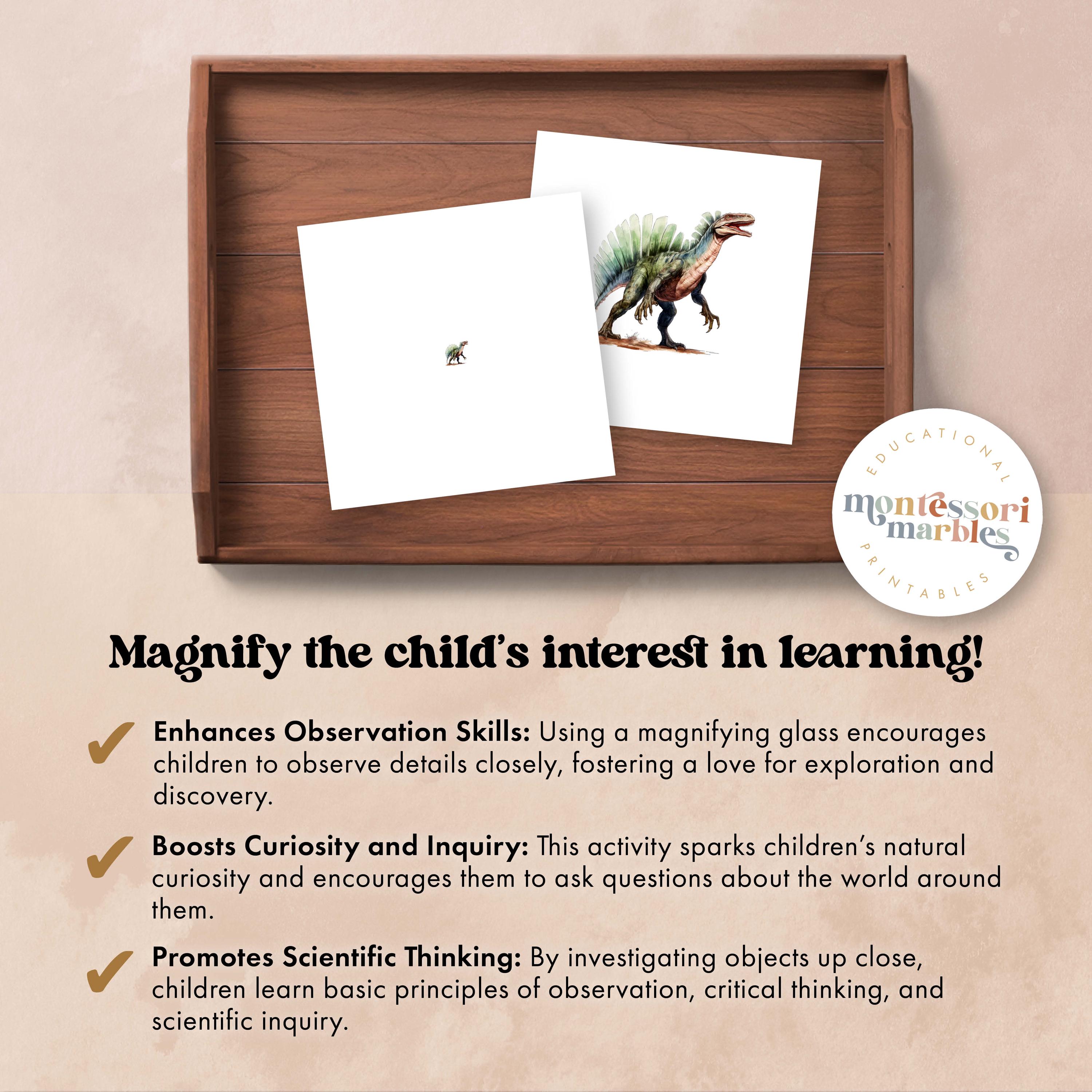 Dinosaurs Magnifying Matching Game | Montessori Visual Skills ...