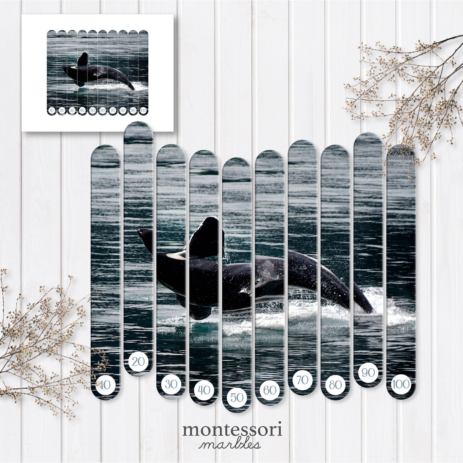 WHALES Skip Counting by 2s 3s 5s and 10s Early Math Math - Etsy