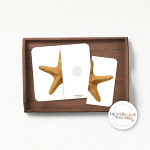 OCEAN ANIMALS Symmetry Puzzles | Montessori Inspired Printable ...