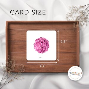 SPRING FLOWERS Matching and Memory Games | Fun Activity for Preschool ...