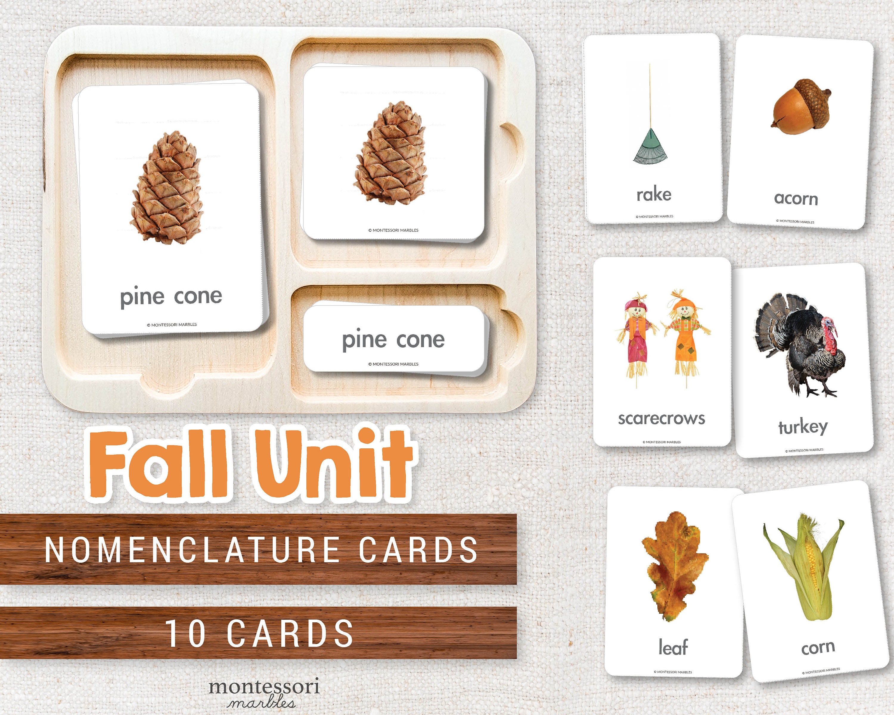 FALL Montessori Nomenclature Cards Autumn Flash Cards - Etsy
