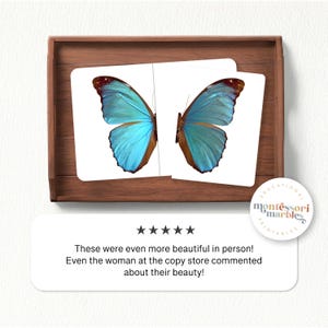 Butterfly Symmetry Puzzles | Montessori Visual Discrimination | Spring ...