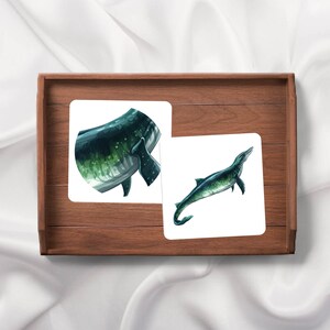 DINOSAUR Pattern Matching Puzzle Activity Montessori Inspired Visual ...