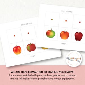 Apples Magnifying Matching Game: Montessori Fall Activity (digital ...
