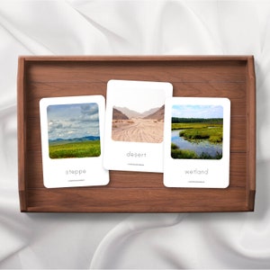 BIOMES Flash Cards Montessori Inspired Cards Social Studies Geography ...