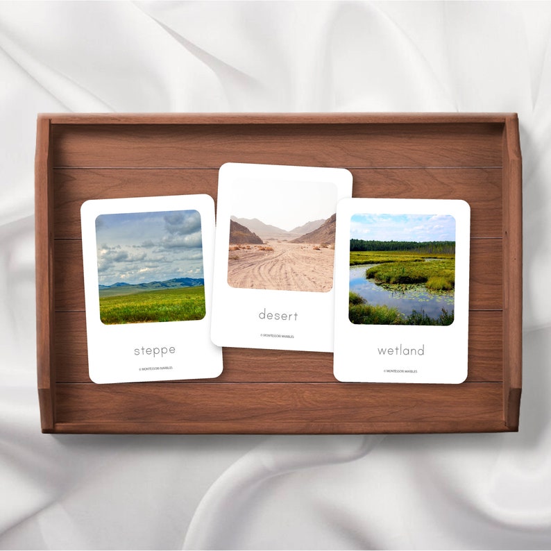 BIOMES Flash Cards Montessori Inspired Cards Social - Etsy