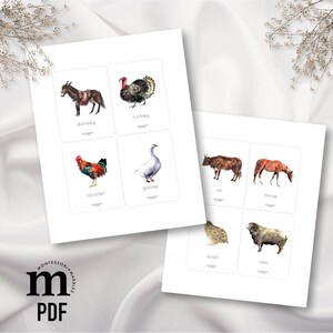 FARM ANIMALS Flash Cards Montessori Inspired Printable Resources ...