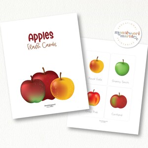 APPLES Flash Cards | 10 Flashcards | Montessori Inspired Homeschool ...