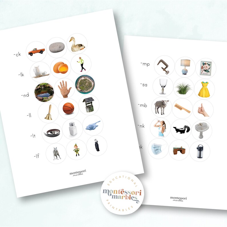 BLUE SERIES Ending Blends Sorting Cards Montessori Language Activity ...