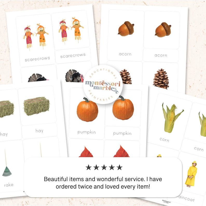 Fall Montessori Nomenclature Cards | Autumn Vocabulary Learning ...