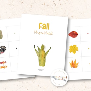 FALL BUNDLE Montessori Inspired Activities for Kindergarten | Visual ...
