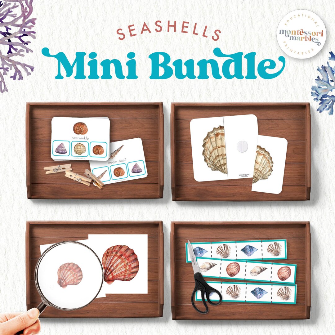 SEASHELLS Mini Bundle for Preschool & Kindergarten Age 2-4 Years Old ...