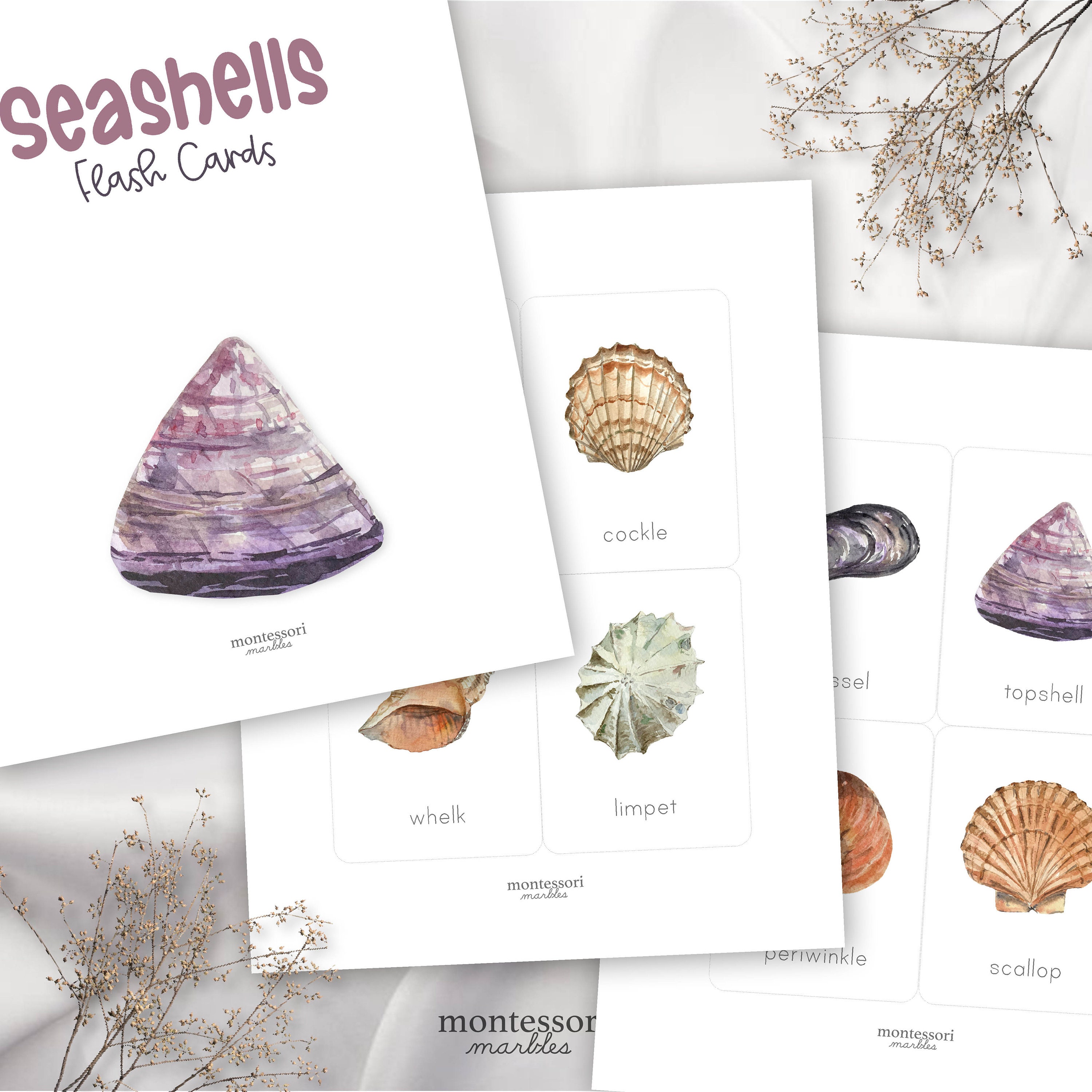 SEASHELLS Flash Cards Montessori Inspired Printable Vocabulary Cards ...
