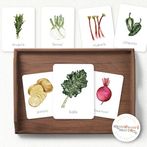 VEGETABLE Flash Cards Montessori Inspired Resources for Preschool ...