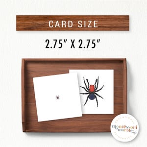 SPIDERS Magnifying Matching Game | Montessori at Home Using Magnifying ...