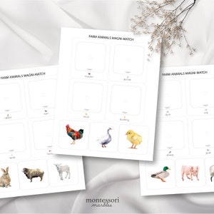 FARM ANIMALS Magnifying Matching Game Montessori at Home Using ...