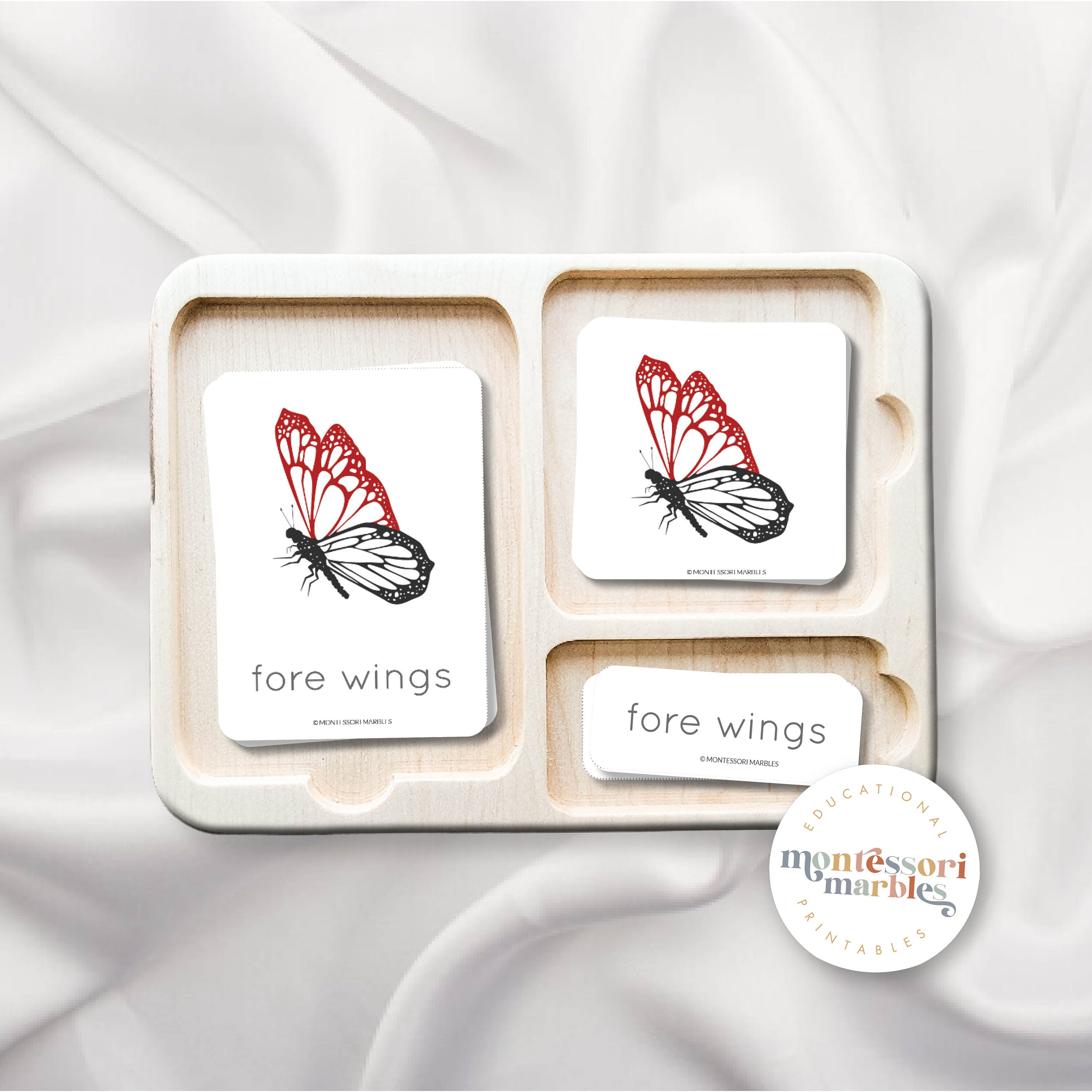 Butterfly Parts: Montessori Nomenclature 3-part Cards (digital Download ...