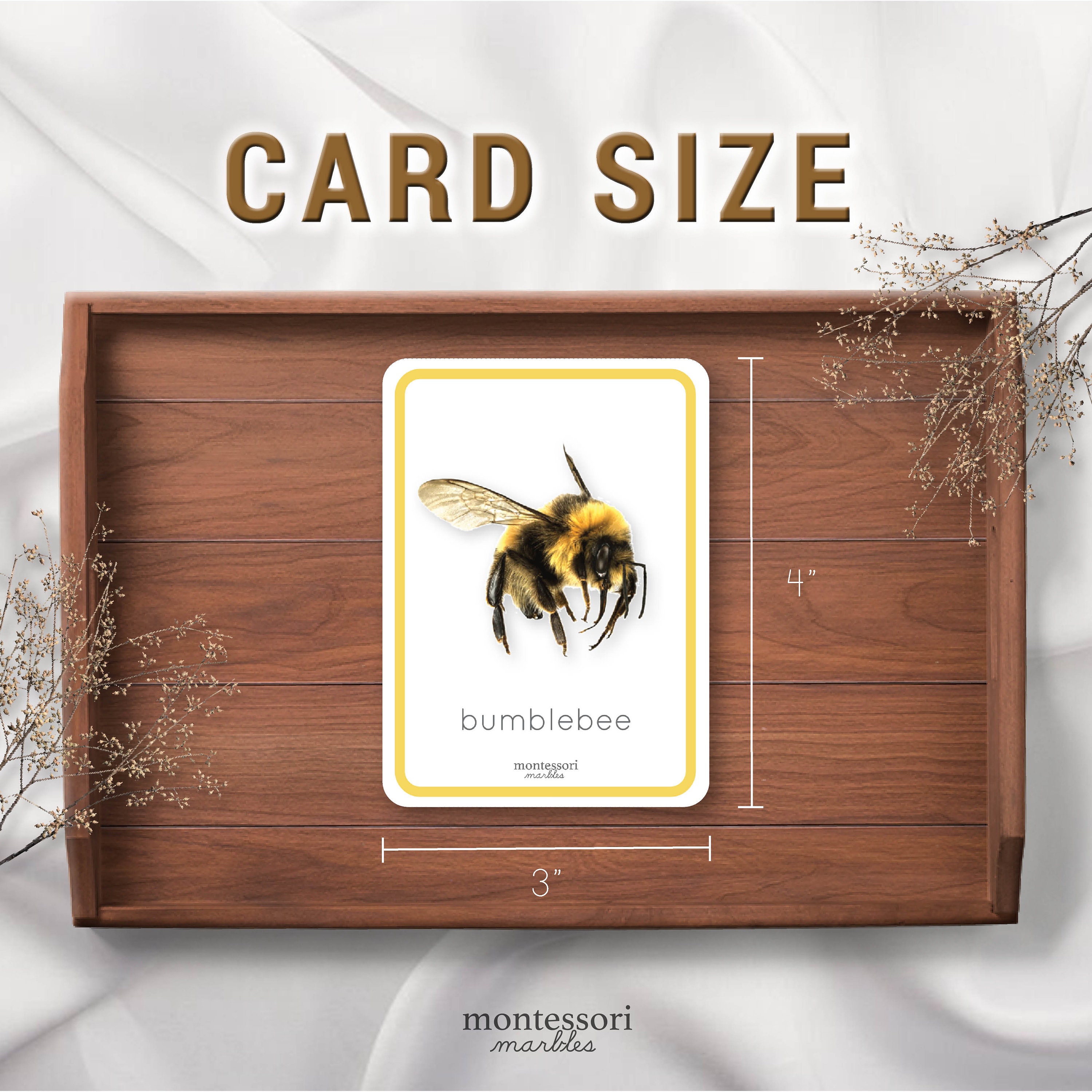 BEES Flash Cards Montessori Inspired Printable Vocabulary - Etsy UK
