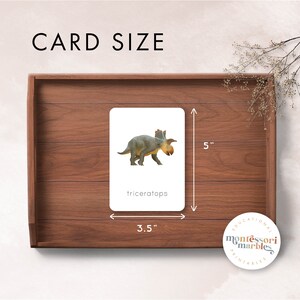 DINOSAUR Montessori Nomenclature Cards, Prehistoric Creatures Cards ...