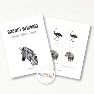 SAFARI ANIMALS Montessori Nomenclature Cards | Nature-based Learning ...