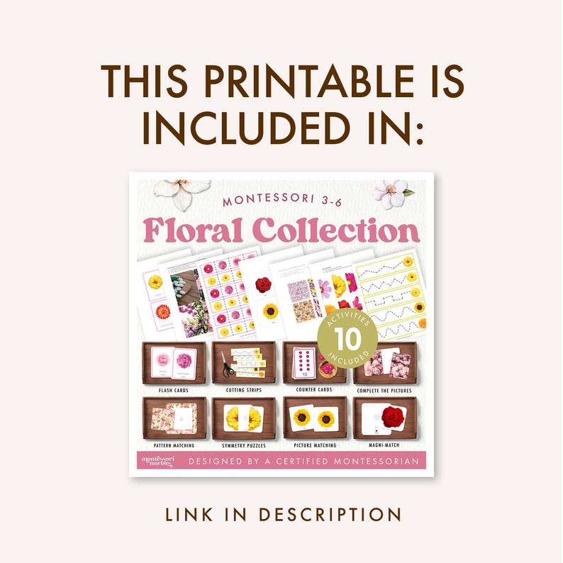 Spring Flowers Pattern Matching | Visual Discrimination Picture ...