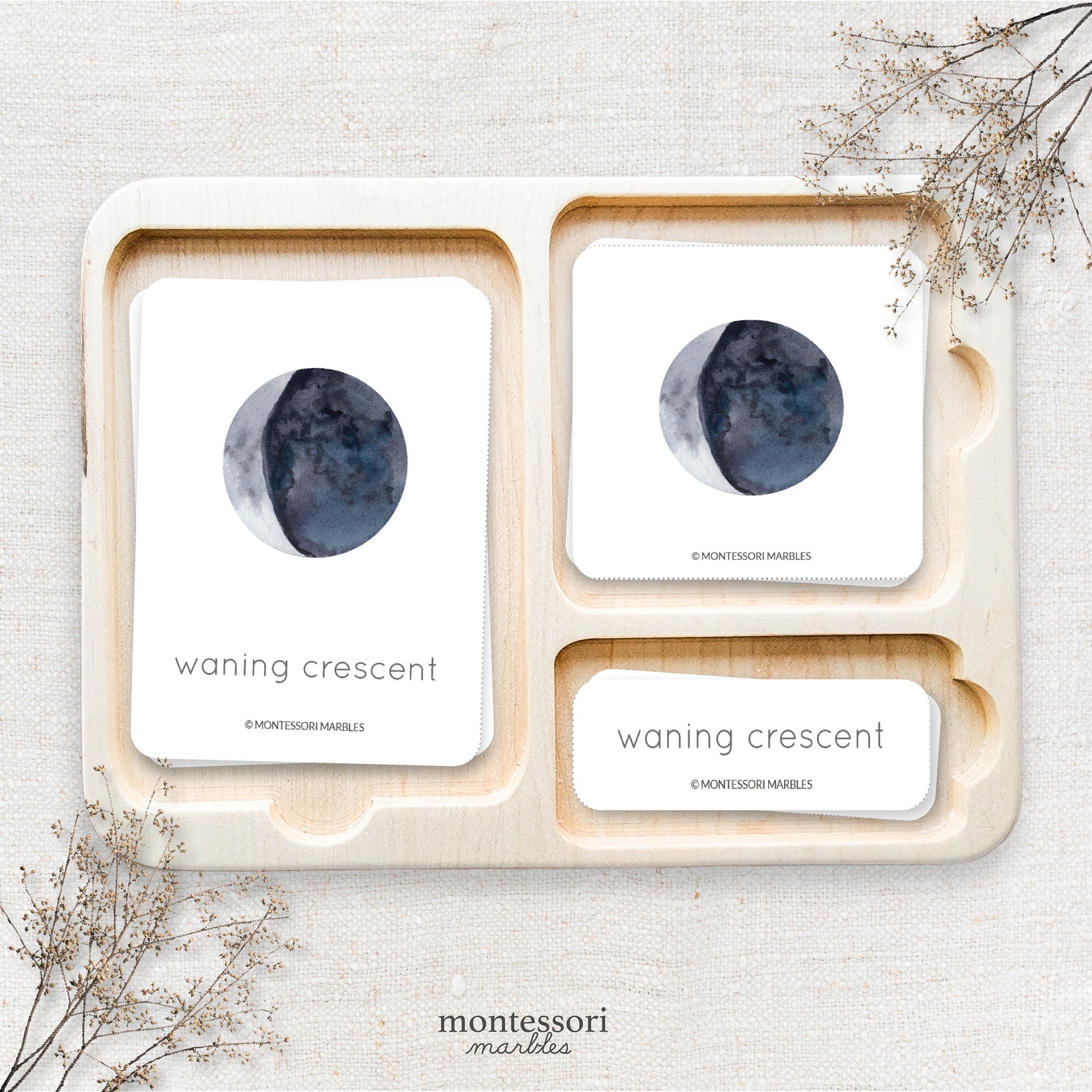 MOON PHASES Montessori Nomenclature Cards Montessori at Home - Etsy