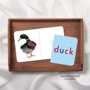 MONTESSORI BLUE SERIES Pairing Cards Montessori Language - Etsy
