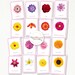 SPRING FLOWERS Flash Cards, Montessori Inspired Printable Vocabulary ...