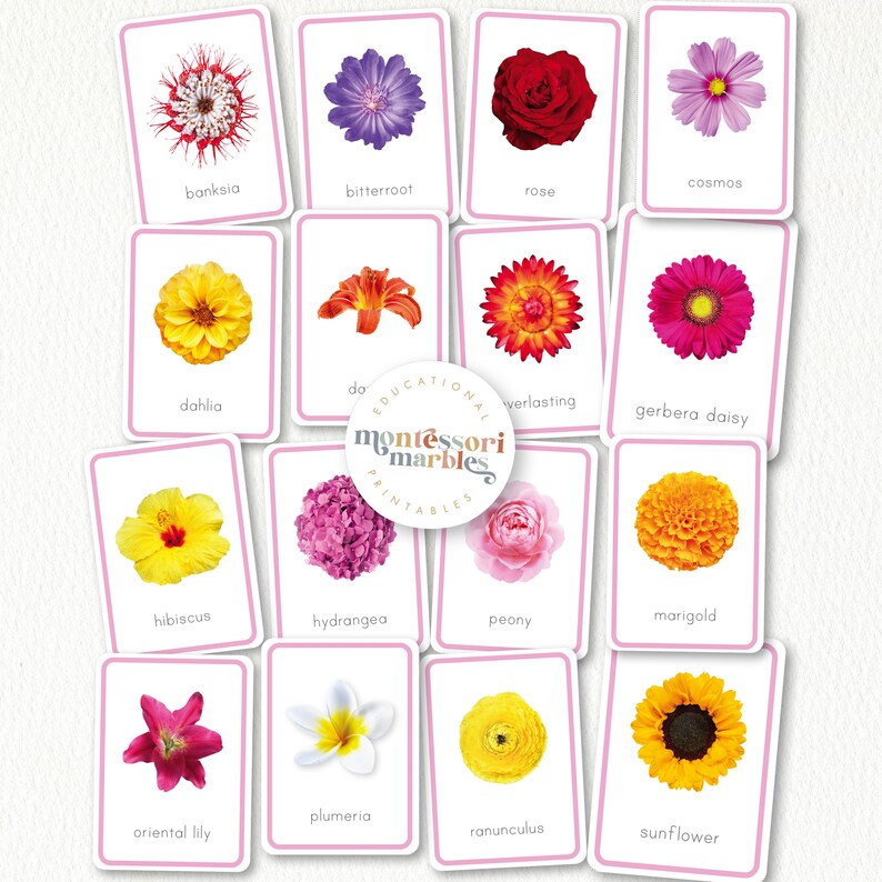 SPRING FLOWERS Flash Cards, Montessori Inspired Printable Vocabulary ...