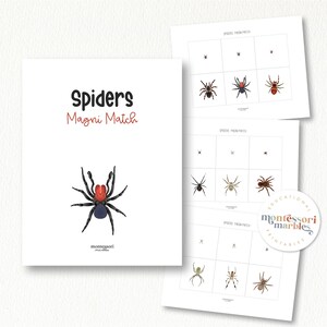 SPIDERS Magnifying Matching Game | Montessori at Home Using Magnifying ...