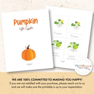 Life Cycle of a Pumpkin | Montessori Nomenclature Cards | Montessori at ...