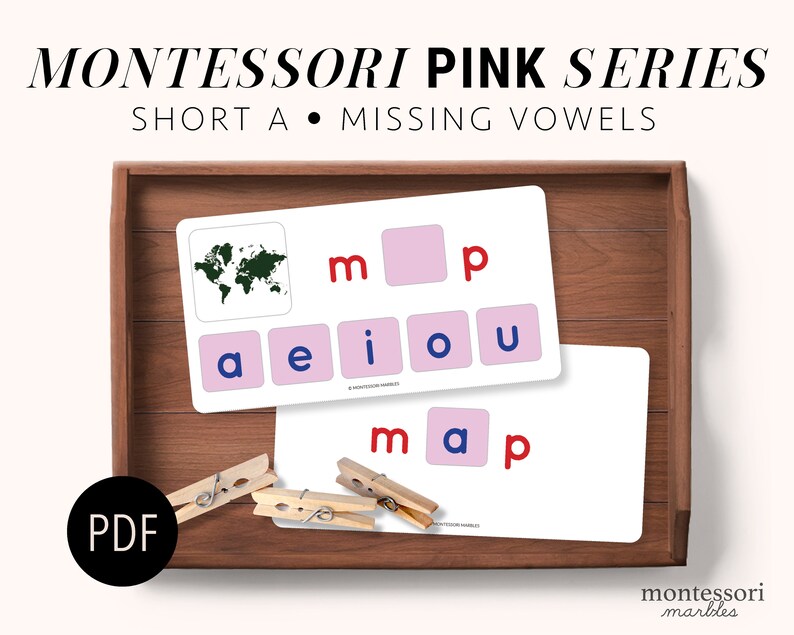 Montessori Pink Series Missing Vowel Short A Printable - Etsy