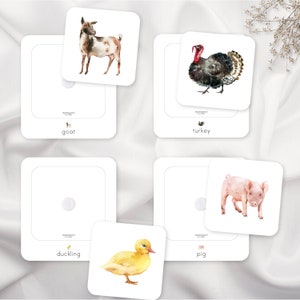 FARM ANIMALS Magnifying Matching Game Montessori at Home Using ...