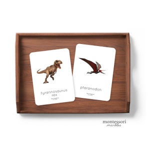 DINOSAURS Flash Cards 18 Flashcards Montessori Inspired - Etsy