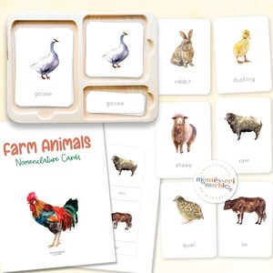 FARM ANIMALS Montessori Nomenclature Cards, Montessori Homeschool Prek ...