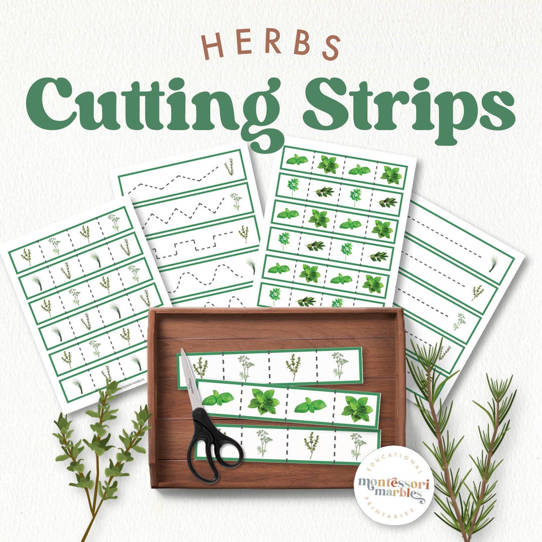 Herbs Cutting Strips | Preschool Fine Motor Skills | Scissor Practice ...