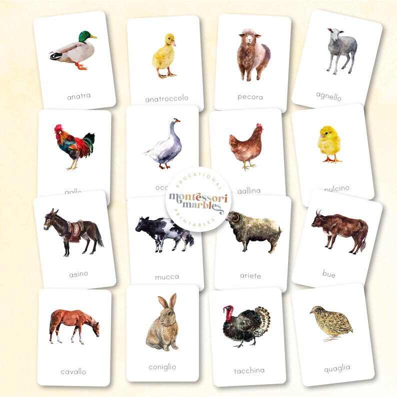 Italian Farm Animals Nomenclature Cards: Montessori Homeschool (digital ...