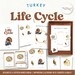 Life Cycle of a Tomato Plant | Montessori Nomenclature Cards and Life ...