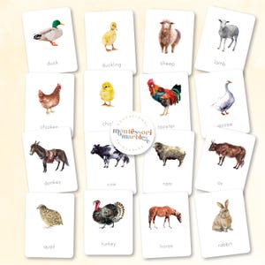 FARM ANIMALS Montessori Nomenclature Cards, Montessori Homeschool Prek ...